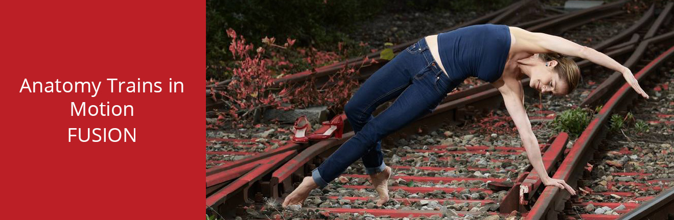 Anatomy Trains Australia - Training Courses for Qualified Therapists