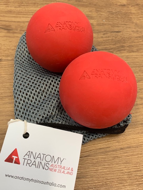 Store - Anatomy Trains